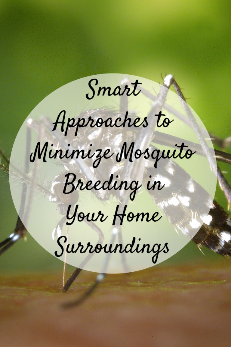 Smart Approaches to Minimize Mosquito Breeding in Your Home ...